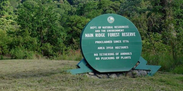Tobago marks 250-years of Main Ridge on April 30th - 103.1FM